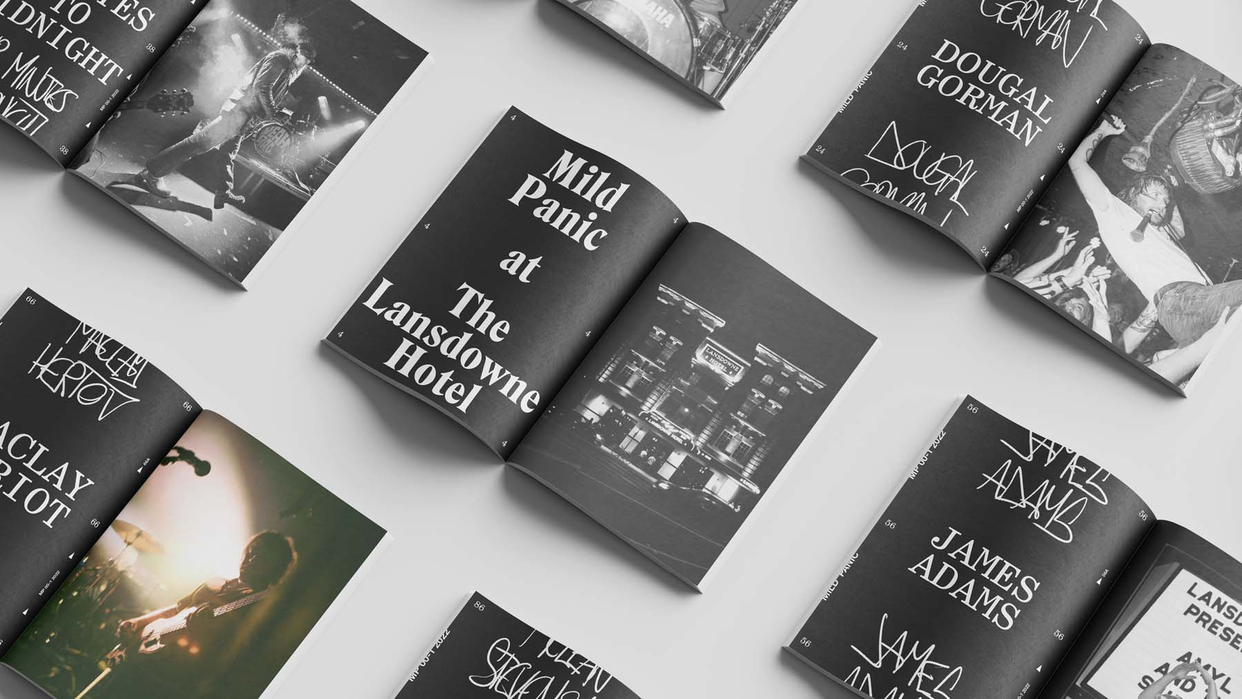 Mild Panic!.... A photo journal of live music in Australia has been ...